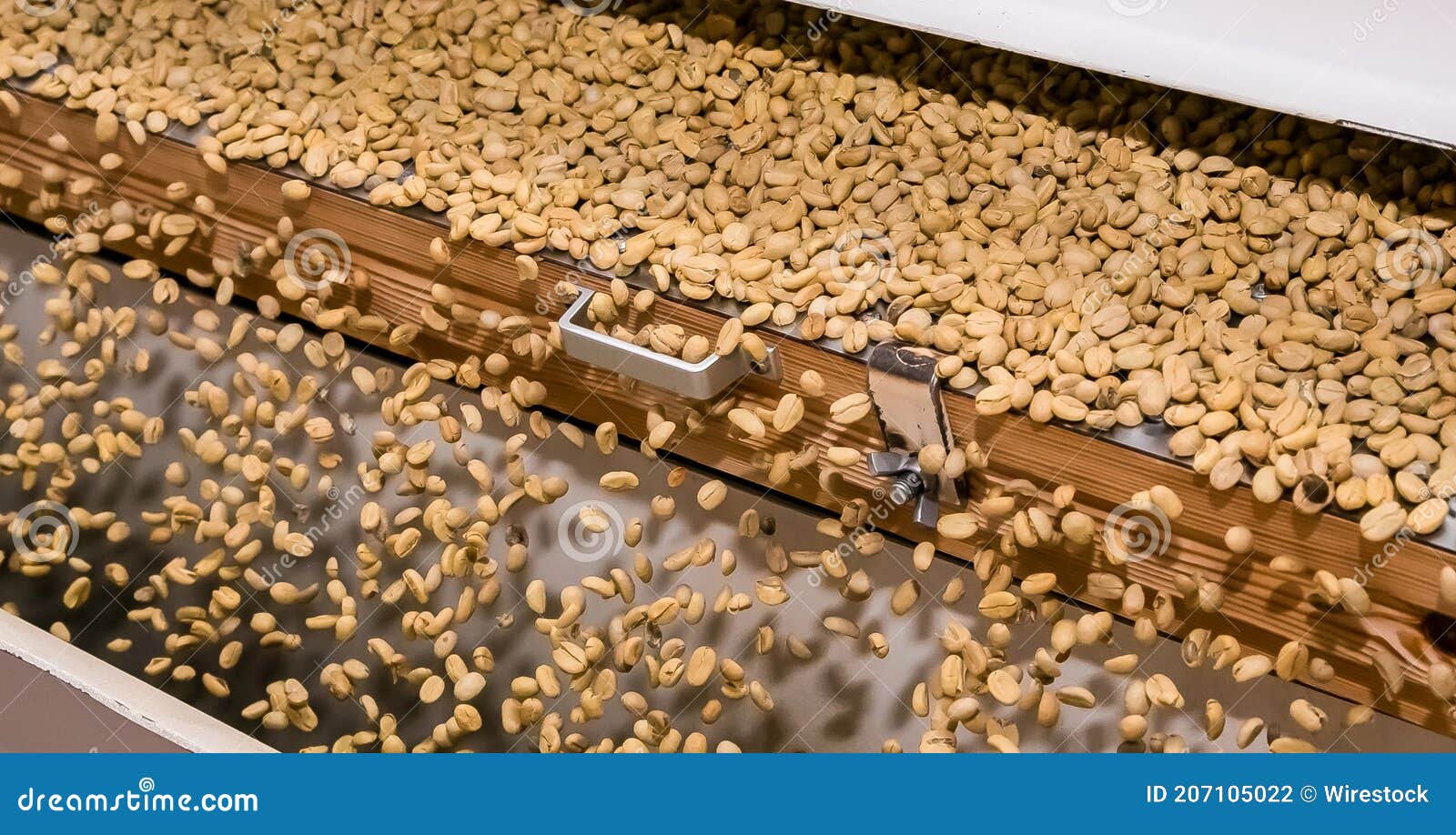 Shot of a Machine Sorting and Processing Coffee Beans in a Factory ...