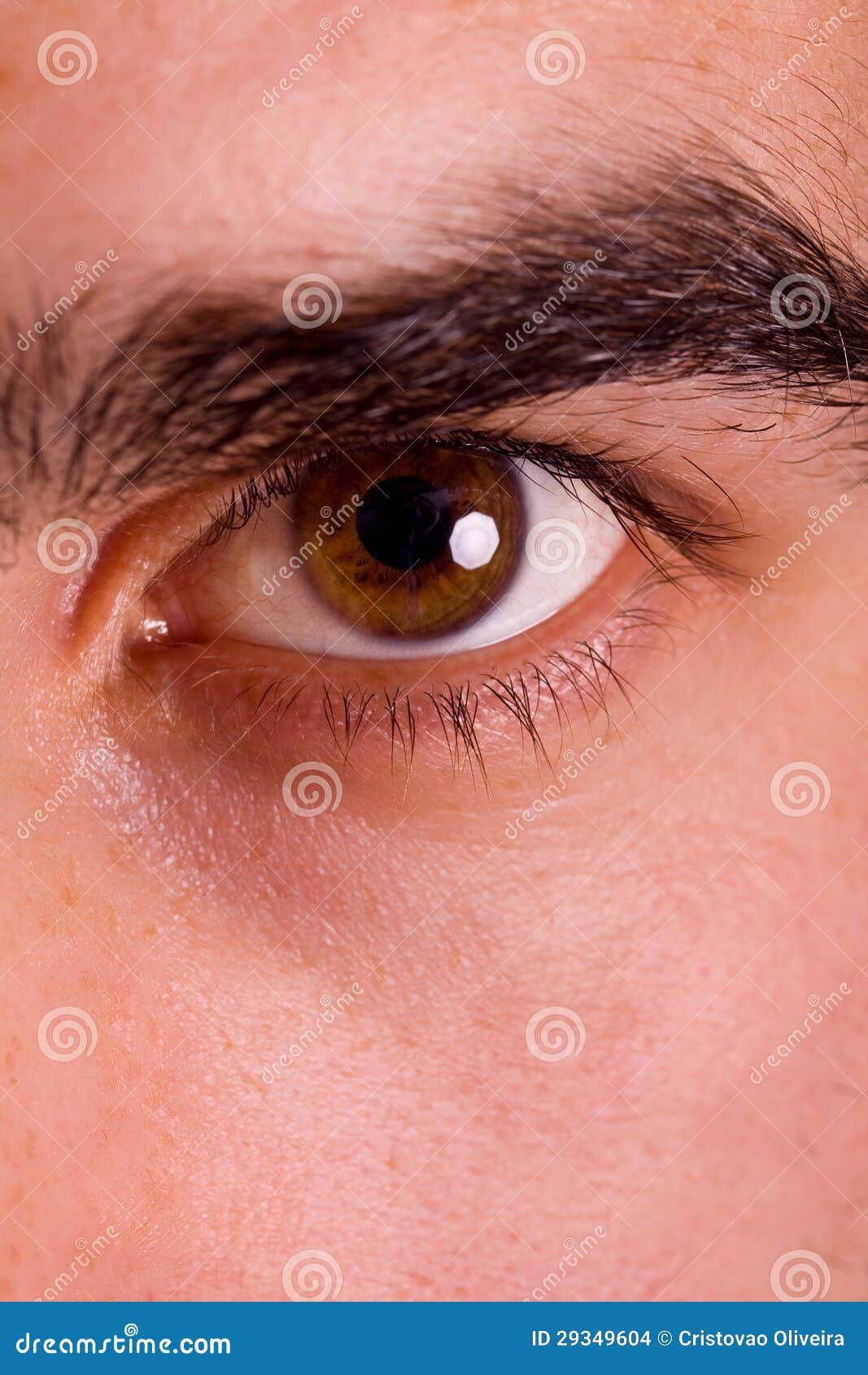 Shot of man s eye stock photo. Image of reflect, closeup - 29349604