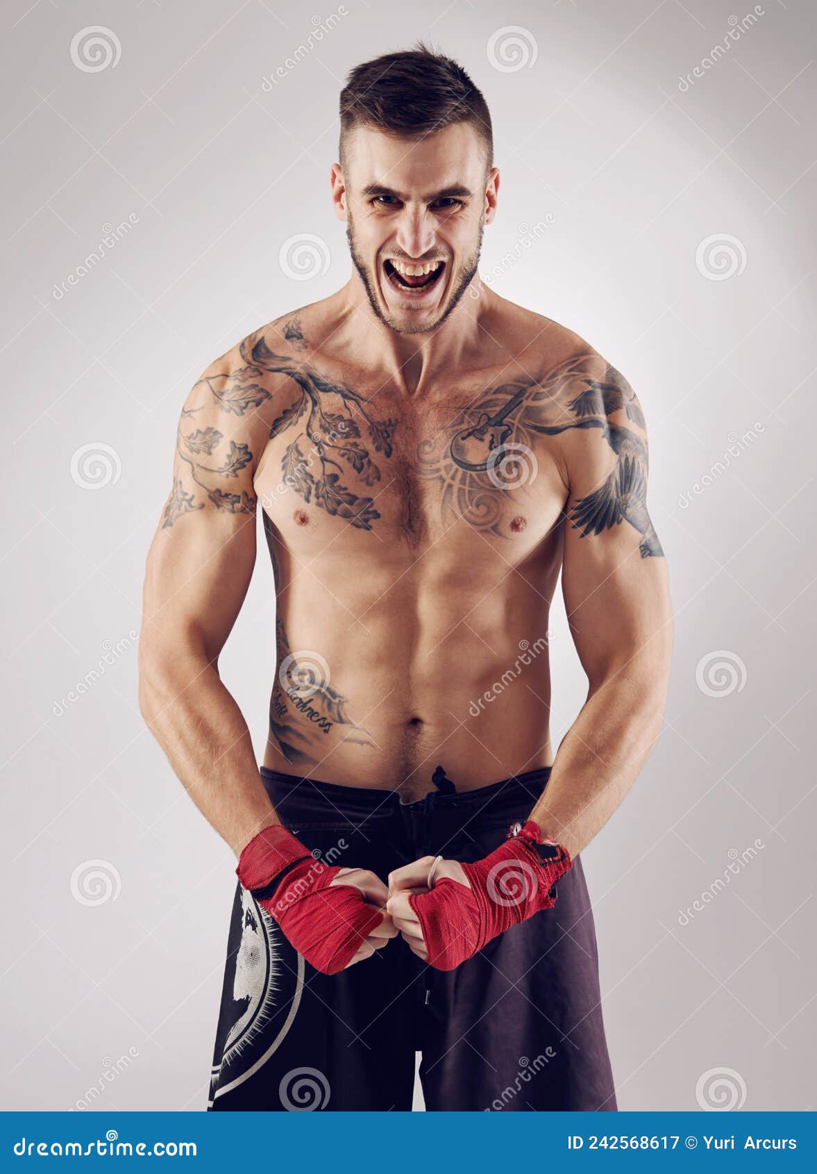Ready for Battle. Shot of an MMA Fighter in the Studio. Stock Image ...