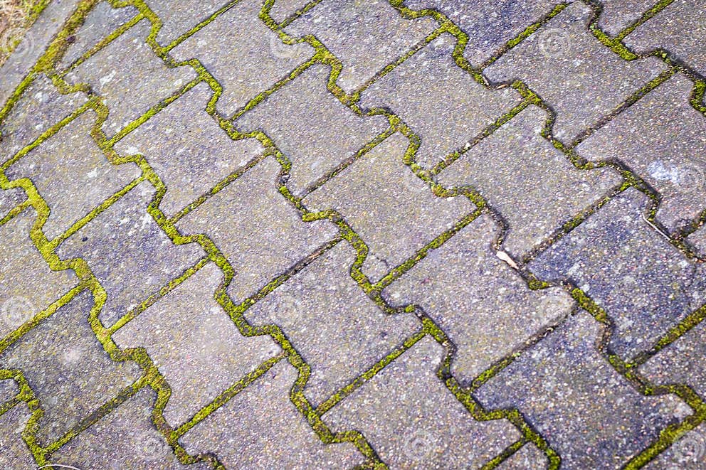 Shot of the Old Interlock Bricks with Grass between Them. Texture Stock ...