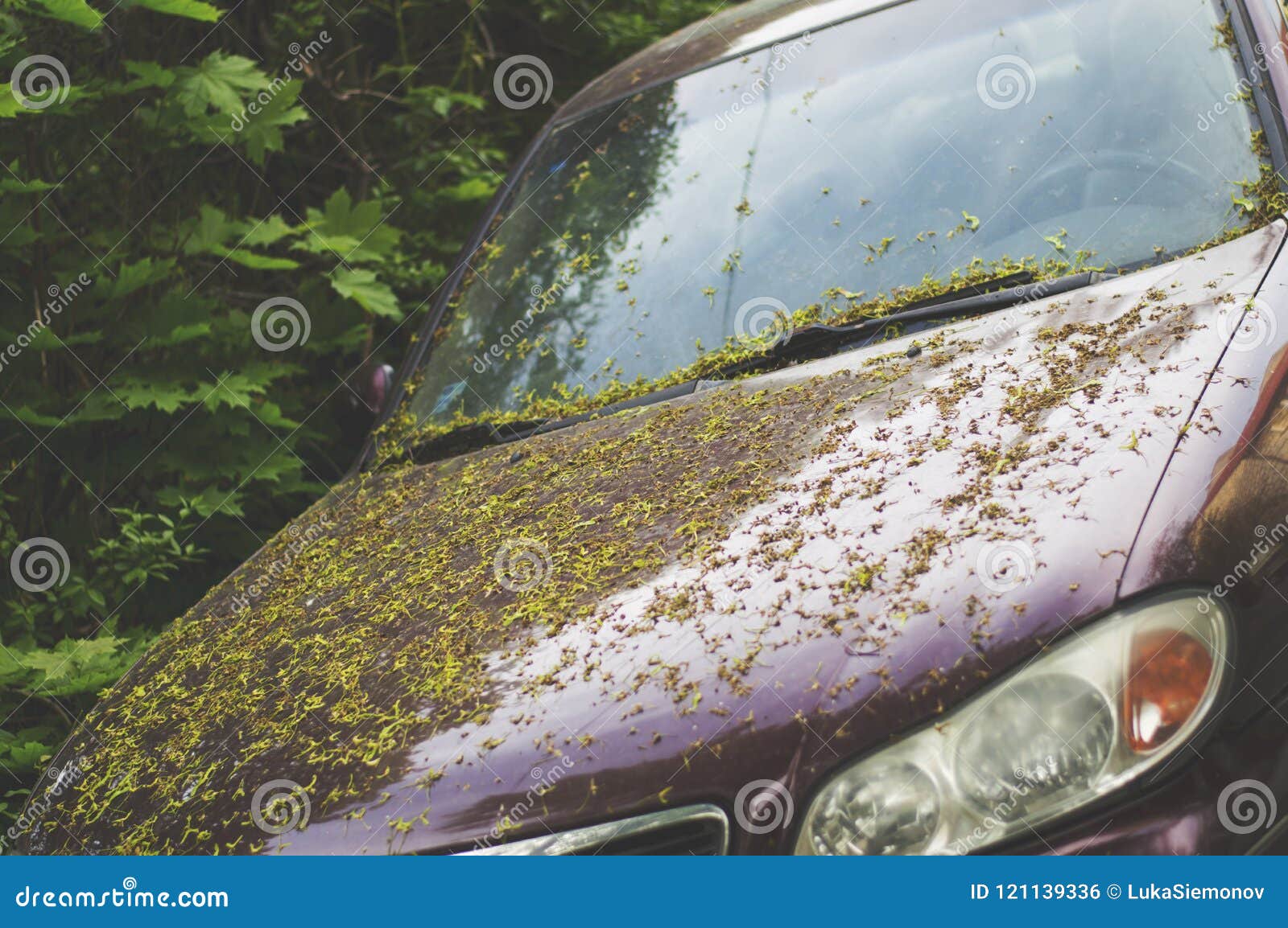 Old rusty and dirty car stock photo. Image of shot, rusty - 121139336