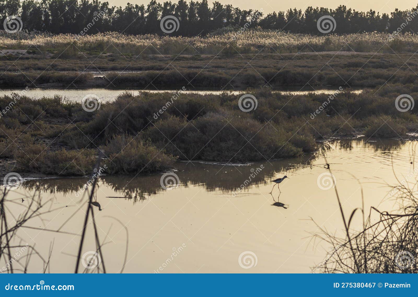 Scene Of Lake St. Louis The Second Of Three Fluvial Lakes On The St ...