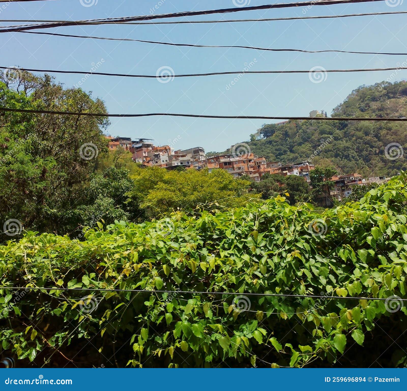 Shot of the Park on the Sunny Bright Day. Nature Stock Photo - Image of ...