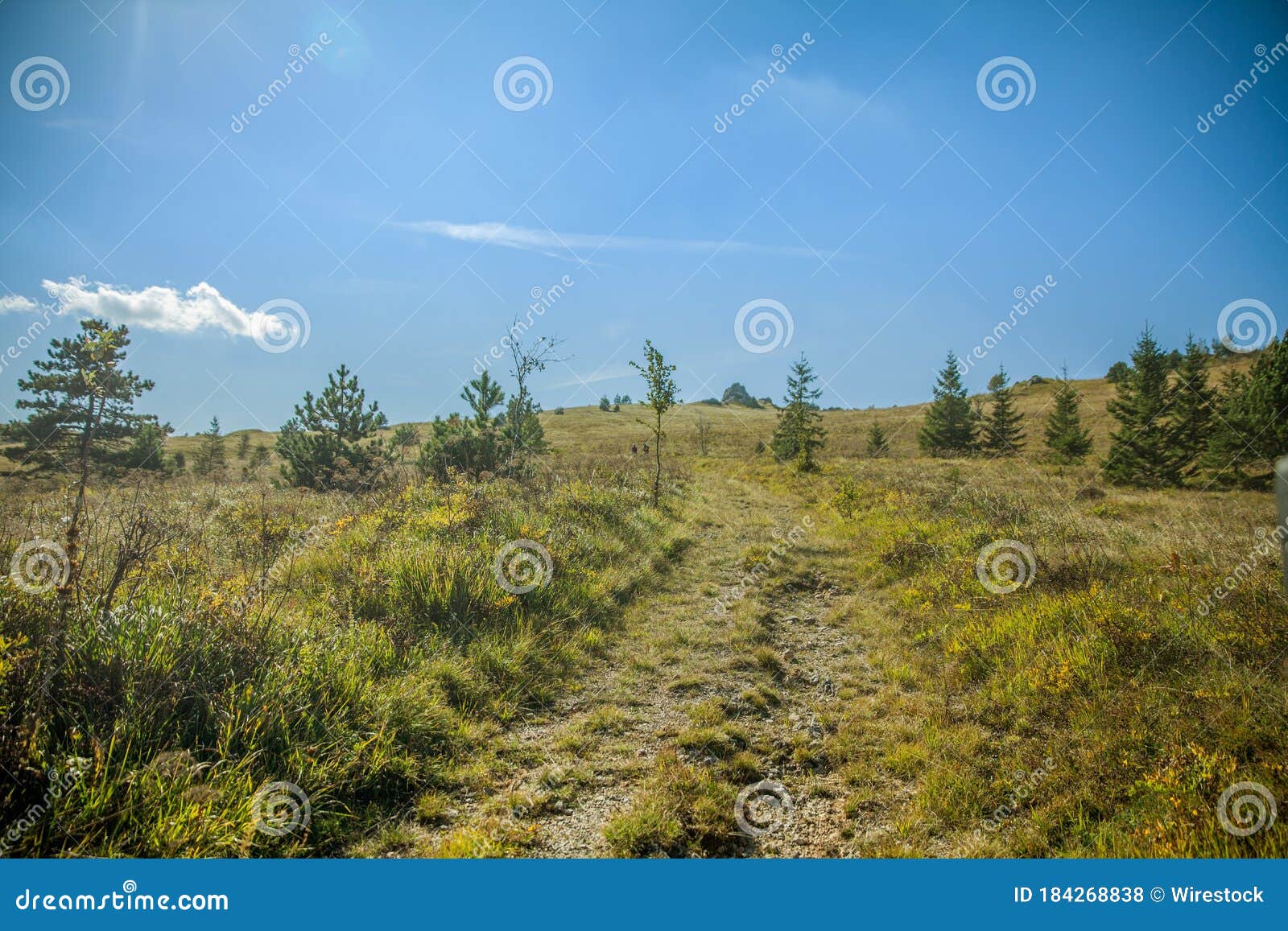 Shot of a Pathway on a Hill with Flowers and Trees Under the Blue Sky ...