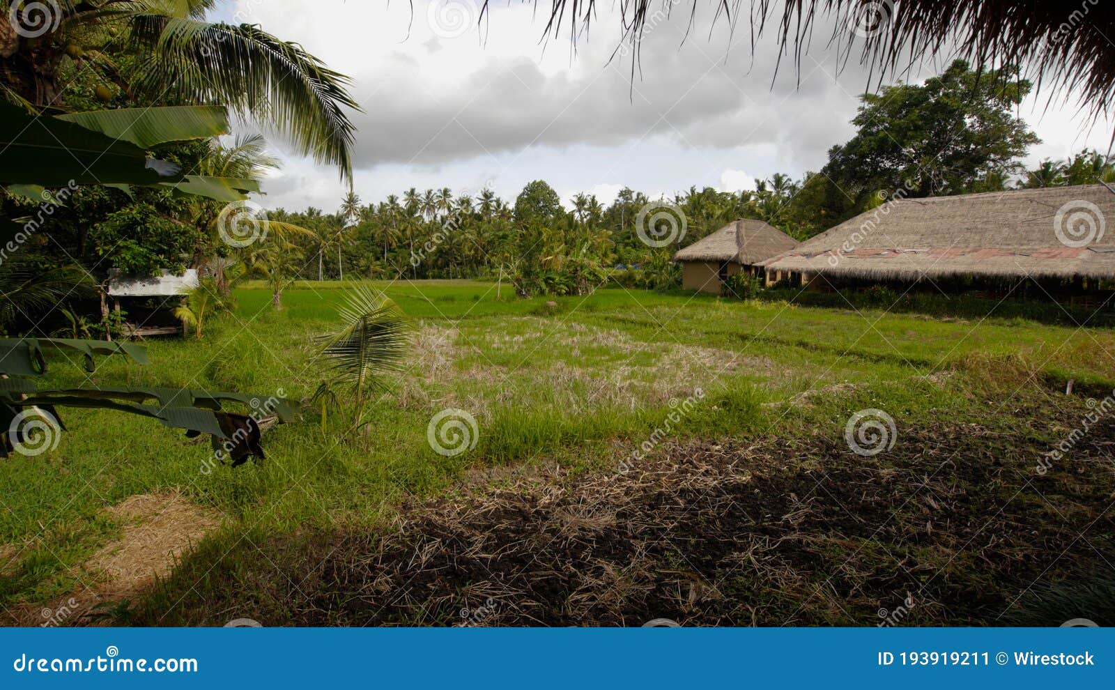 Shot of a Rural Area in Bali, Indonesia Stock Image - Image of bali ...