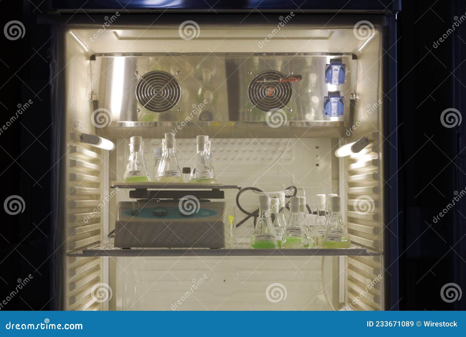 Shot of Seedlings on a Freezer in a Laboratory Stock Image - Image of ...