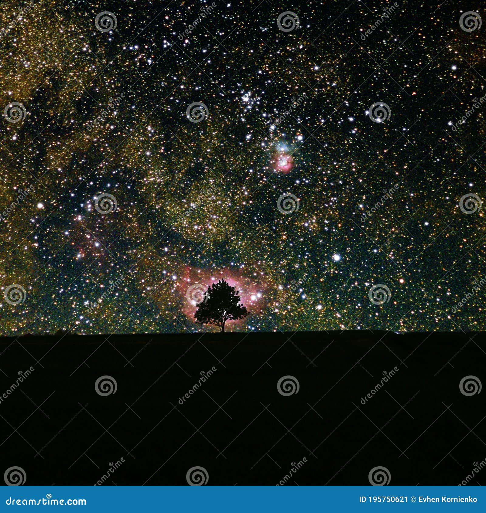 Single Tree Under Starry Sky at Night, Single Tree at Night Stock Image ...