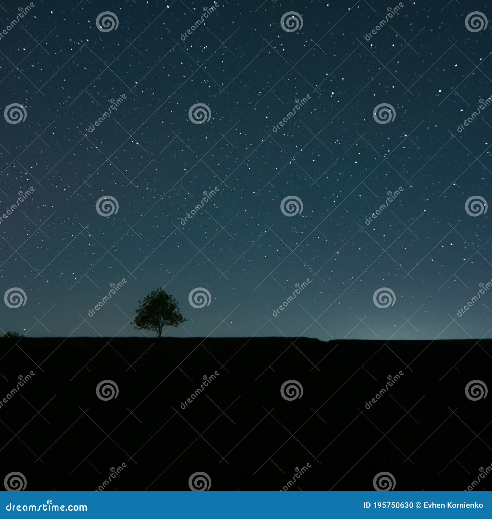 Single Tree Under Starry Sky at Night Stock Photo - Image of evening ...