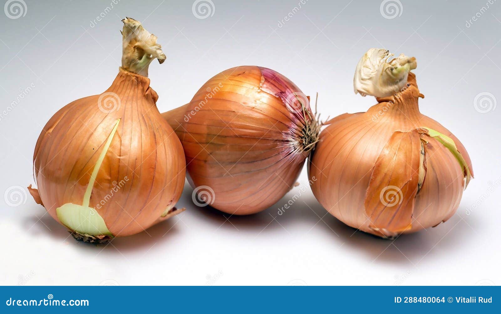 Shot of Small Onions on the White Background Stock Photo - Image of ...