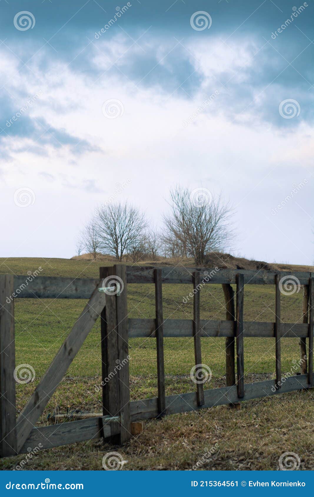 Spring rural landscape stock image. Image of field, agriculture - 215364561