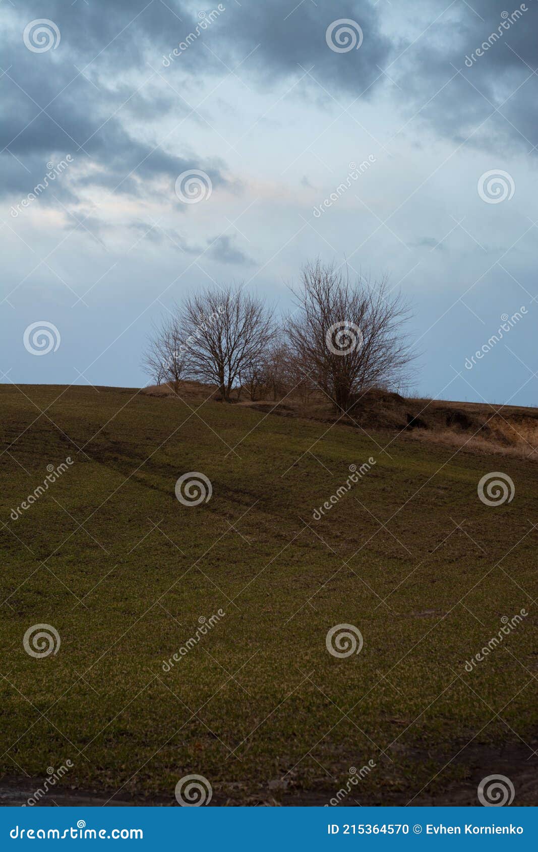 Spring rural landscape stock photo. Image of weather - 215364570