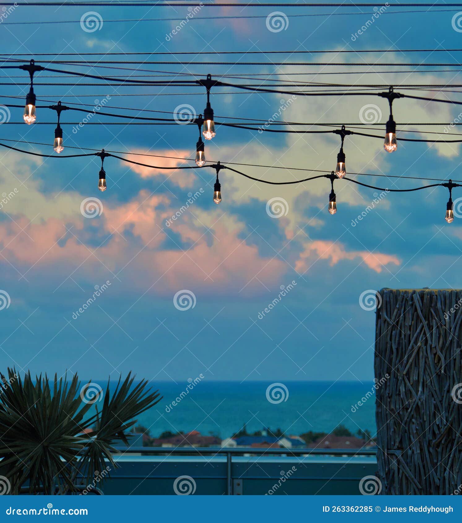 Dusky Lights stock image. Image of beach, pease, coconut - 263362285