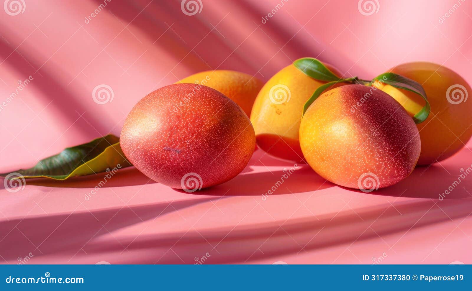 Shot studio mango fruit stock illustration. Illustration of fresh ...