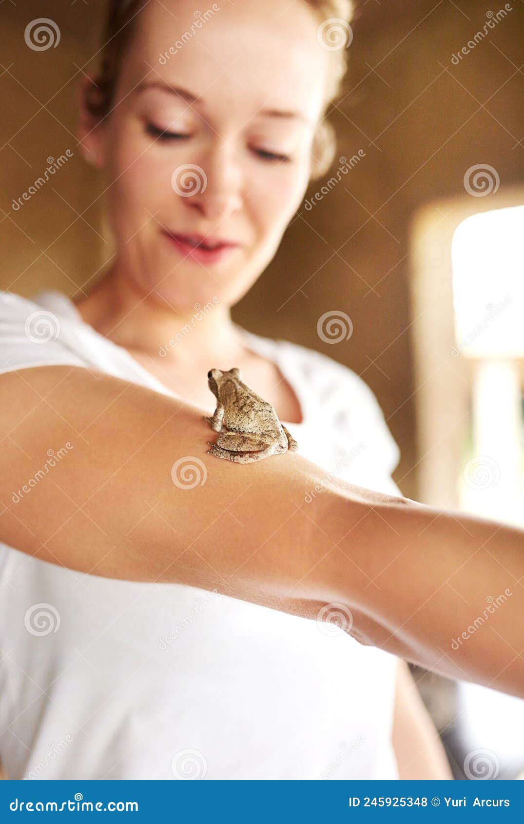 Shot of a Tiny Frog Sitting on a Womans Arm Stock Photo - Image of ...