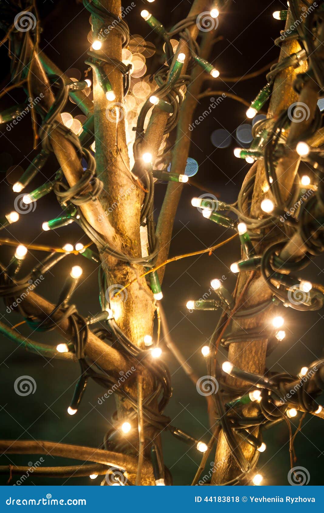 Shot of Tree Decorated with Lights at Night Stock Photo - Image of ...