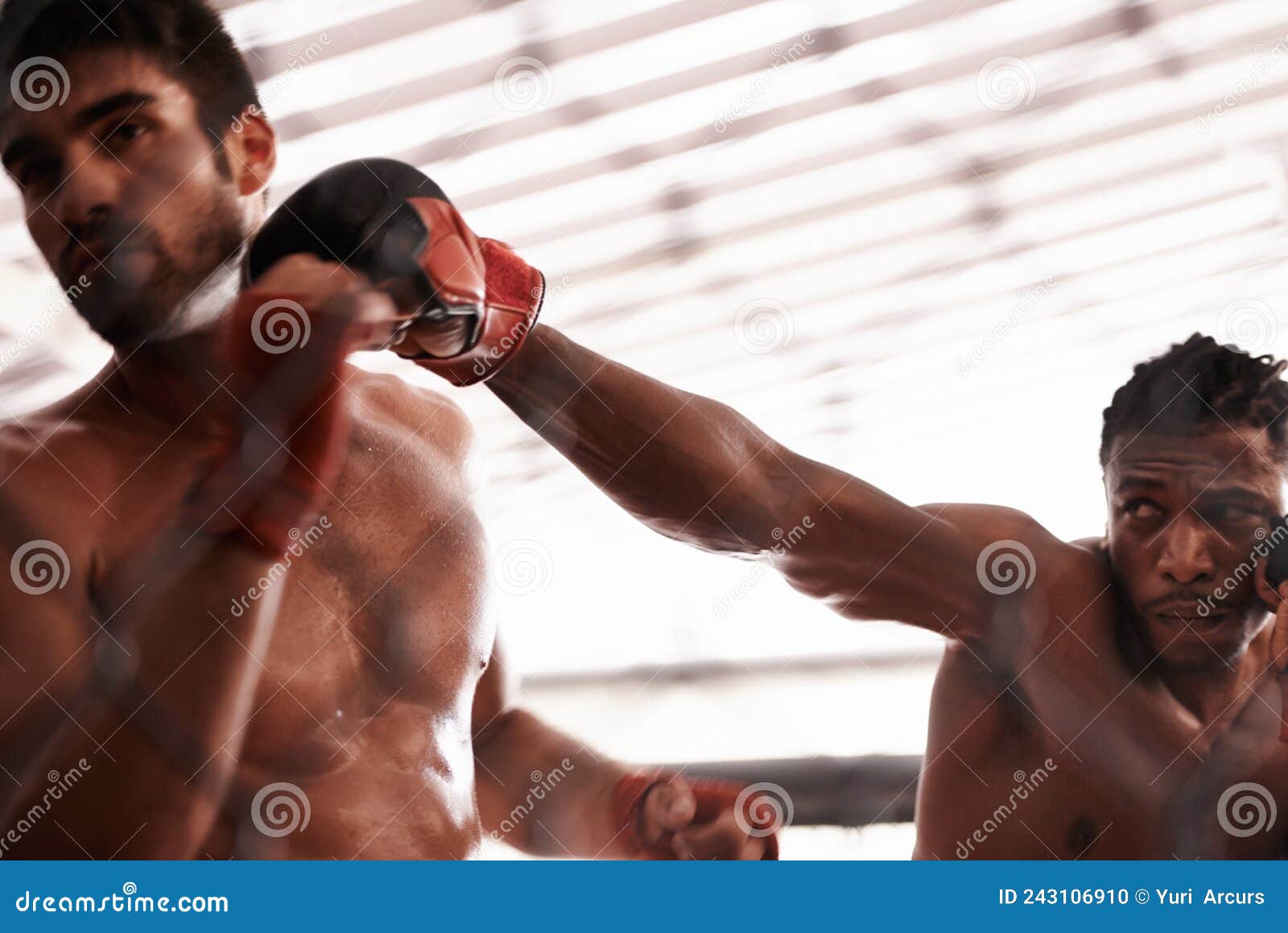 Looking for an Opening. Shot of a Two Young Man Sparring in a Ring ...