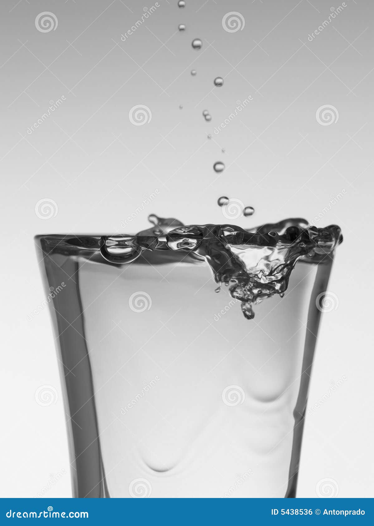 Shot of vodka stock photo. Image of white, beverage, booze - 5438536