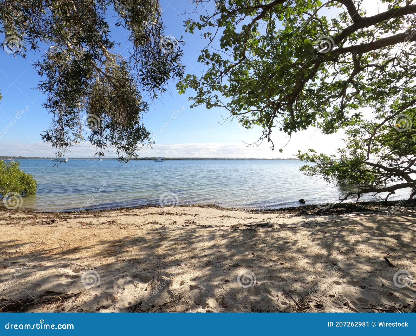 Shot of Waterscape from the Lakeshore, Tree Shades on the Sand Stock ...
