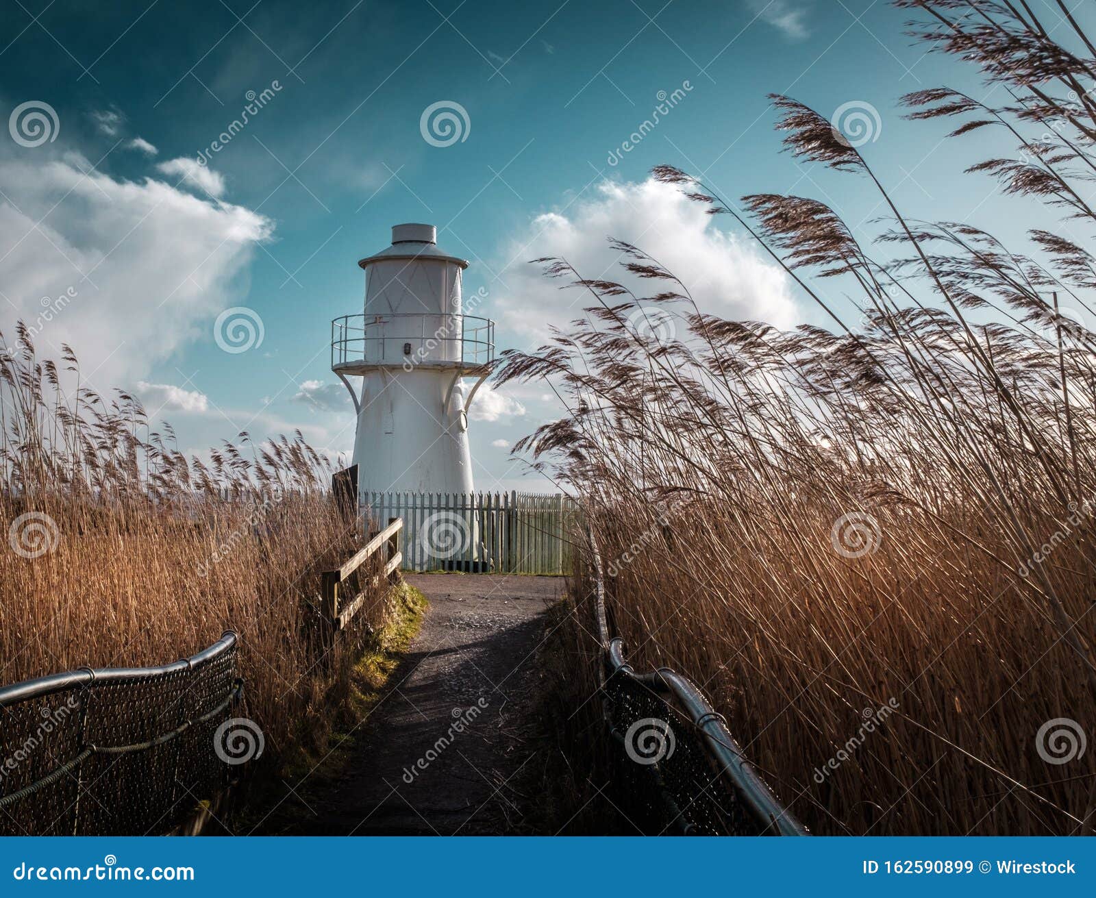 Shot of a White Lighthouse in a Wheat Field Stock Image - Image of ...