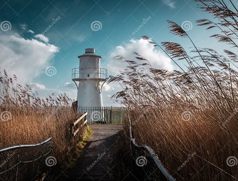Shot of a White Lighthouse in a Wheat Field Stock Image - Image of ...