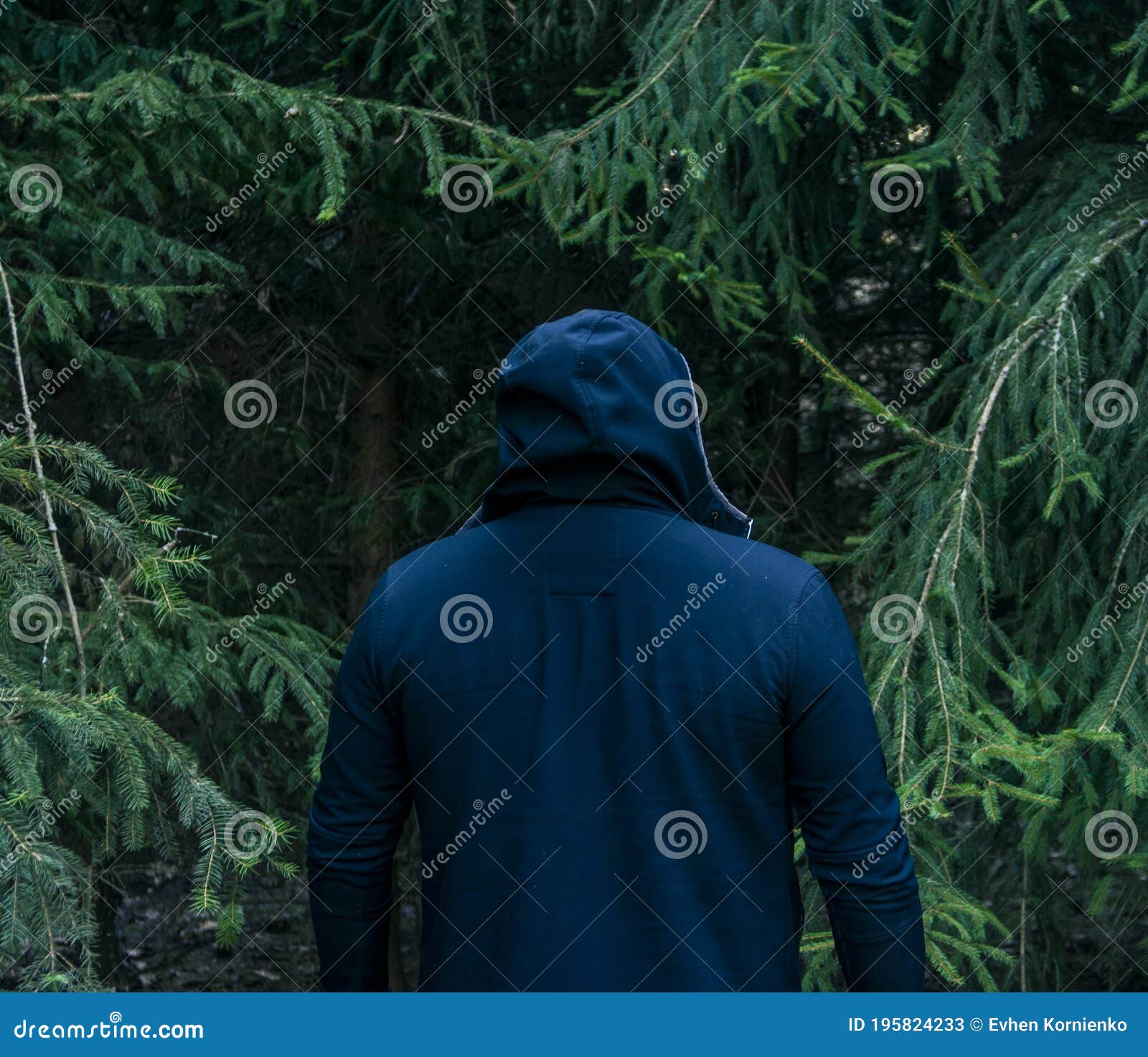 Young Man Alone in the Forest Stock Image - Image of active, wood ...