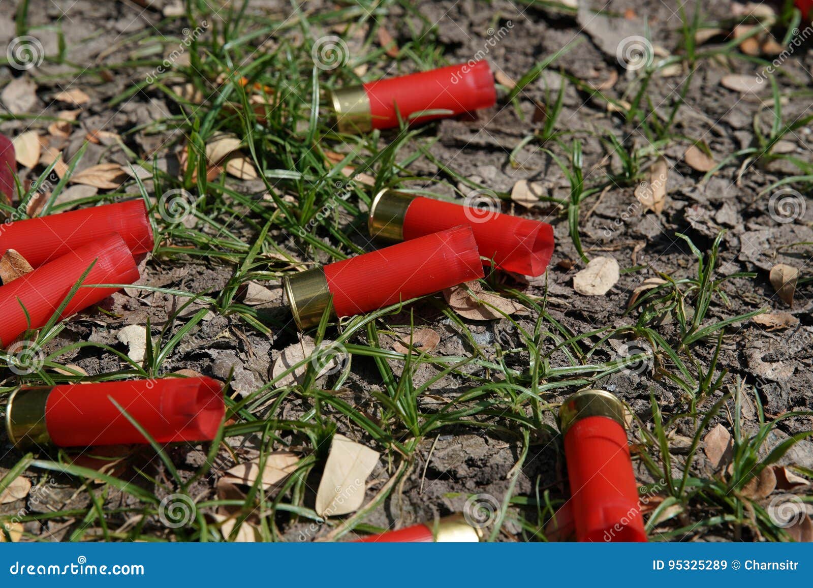Bullets And Shell Bullets On White Background. A Group Of 9mm Bullets ...