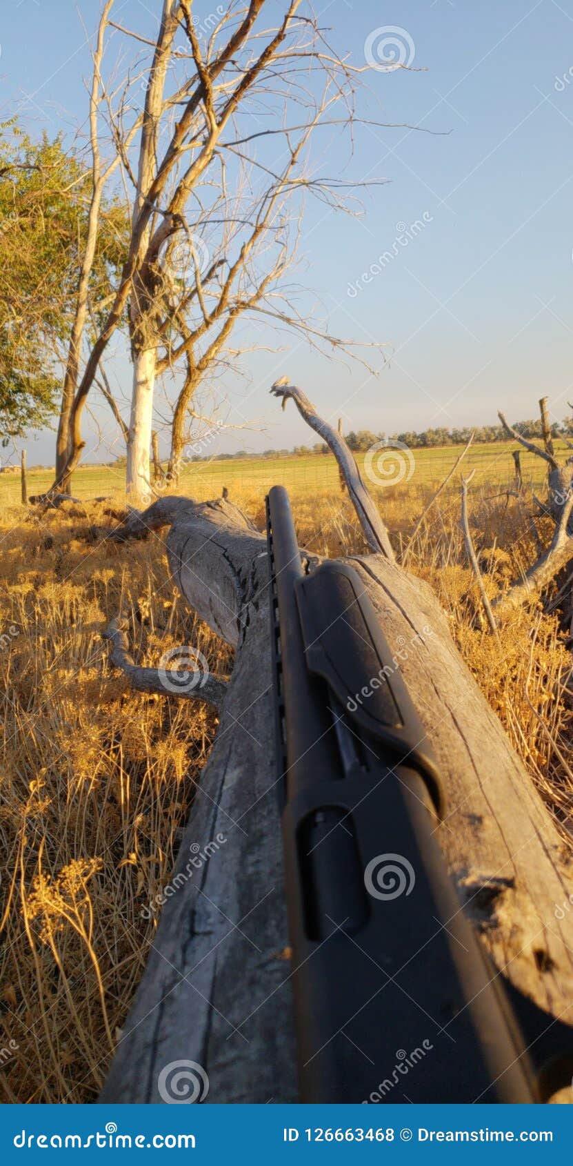 Hunting stock photo. Image of country, hunting, seasonal - 126663468