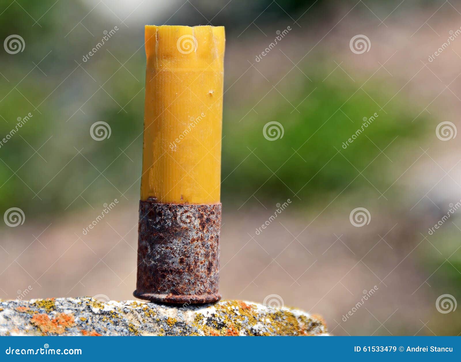 Shotgun shell stock image. Image of killing, bullet, powder - 61533479