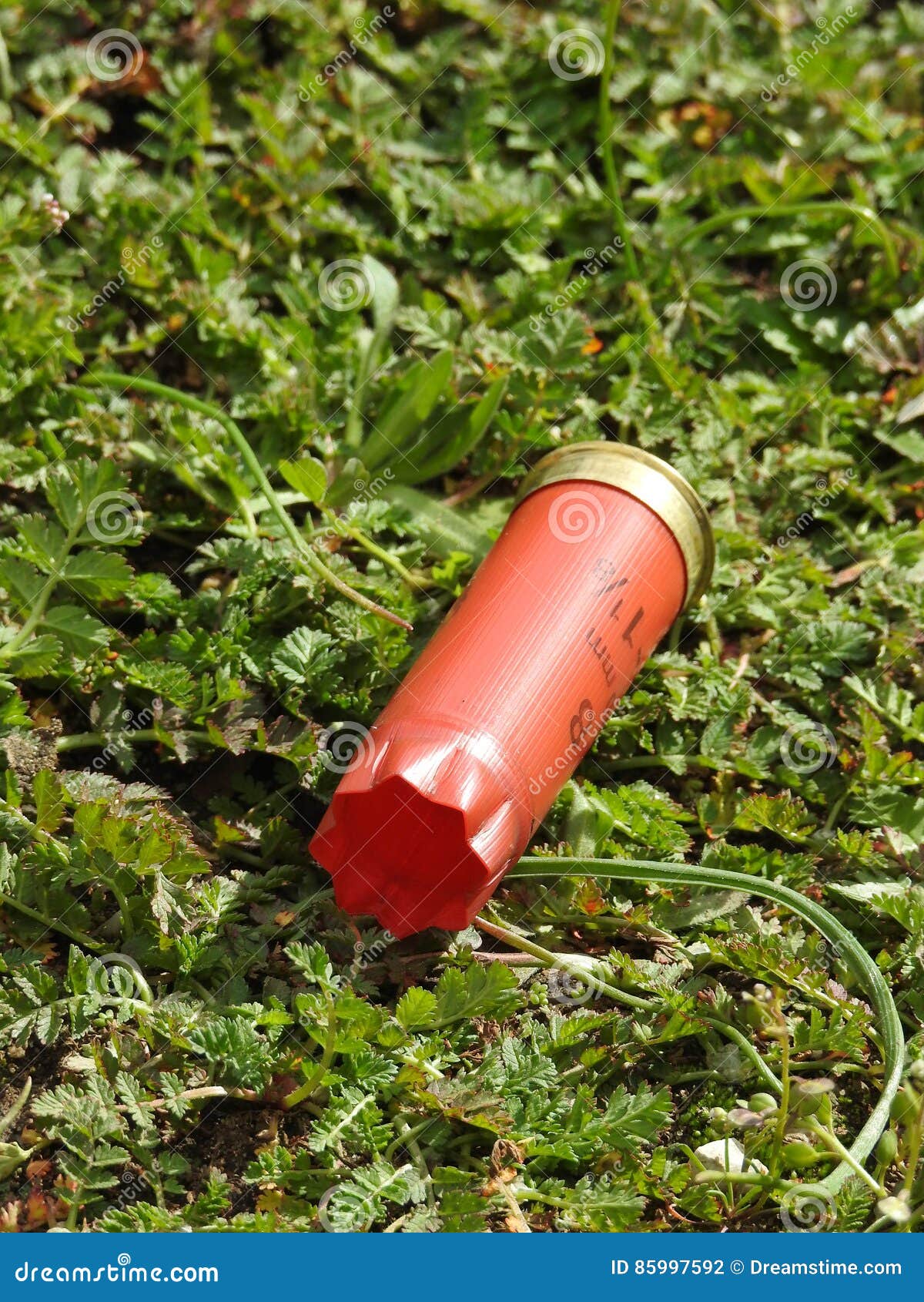 Shotgun shell stock photo. Image of shotgun, shell, standing - 85997592