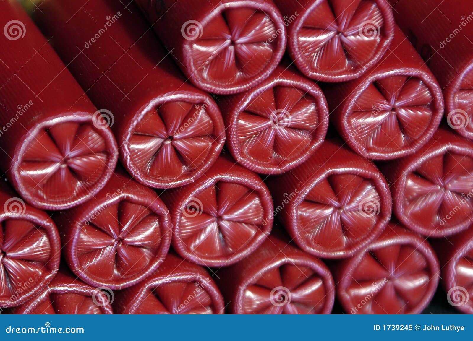 Shotgun Shells stock image. Image of hunting, ammo, fall - 1739245