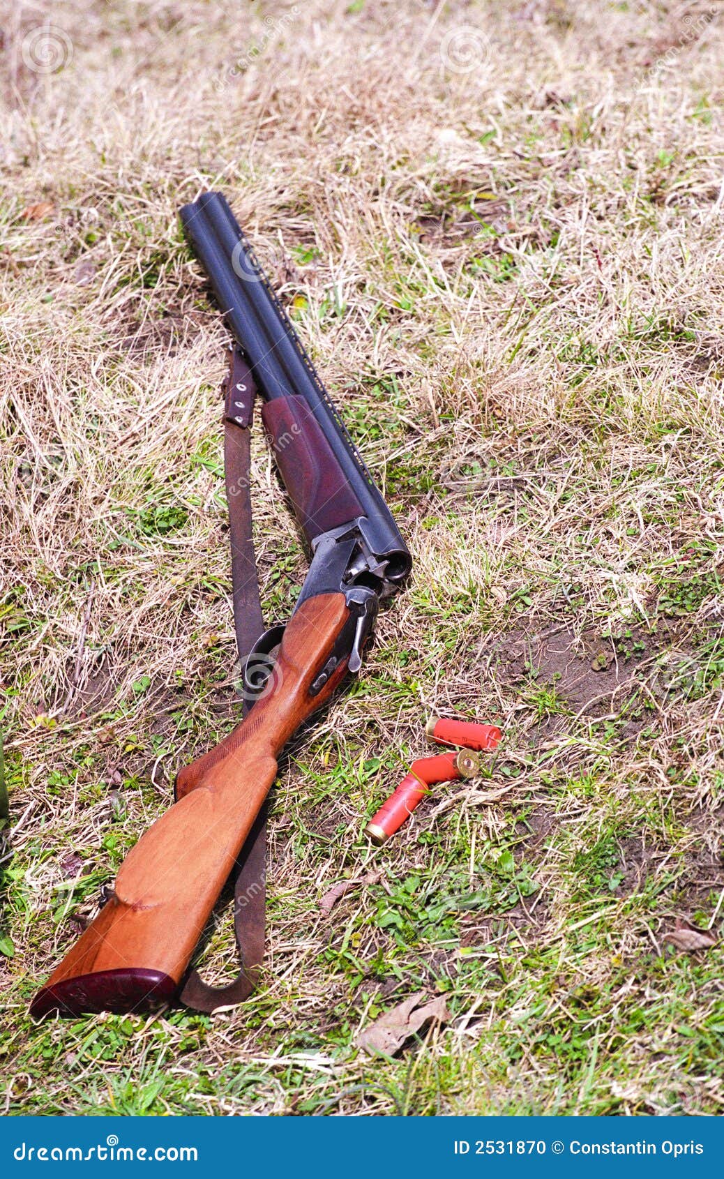 Shotgun and shells stock photo. Image of outdoor, weapon - 2531870