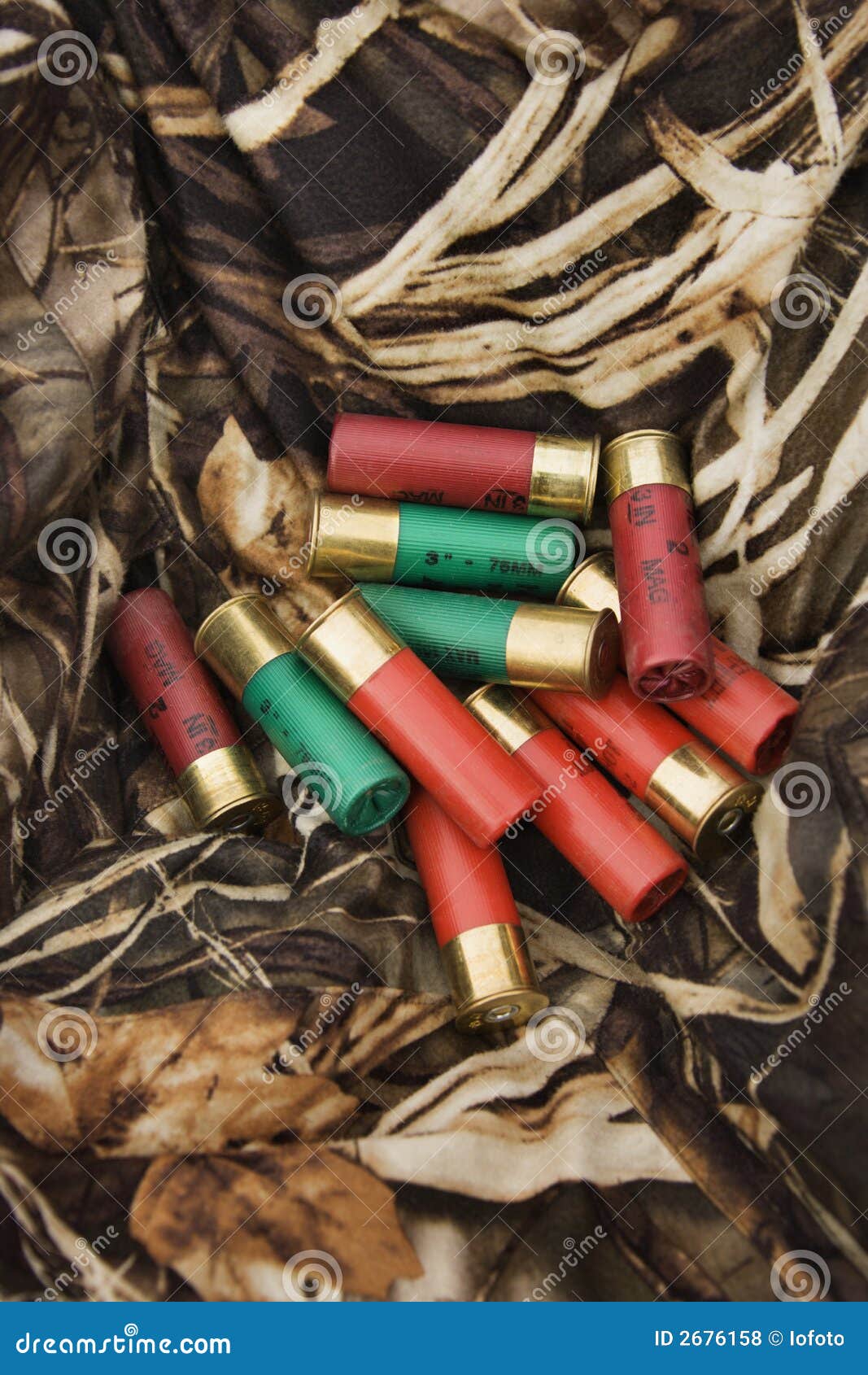 Shotgun Shells. Stock Photography | CartoonDealer.com #2676158