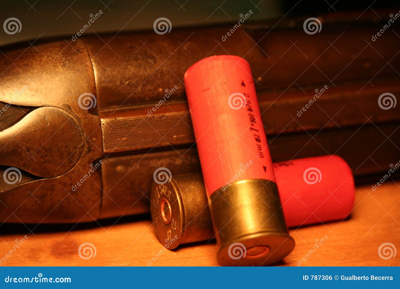 Shotgun and Shells stock photo. Image of shot, military - 787306