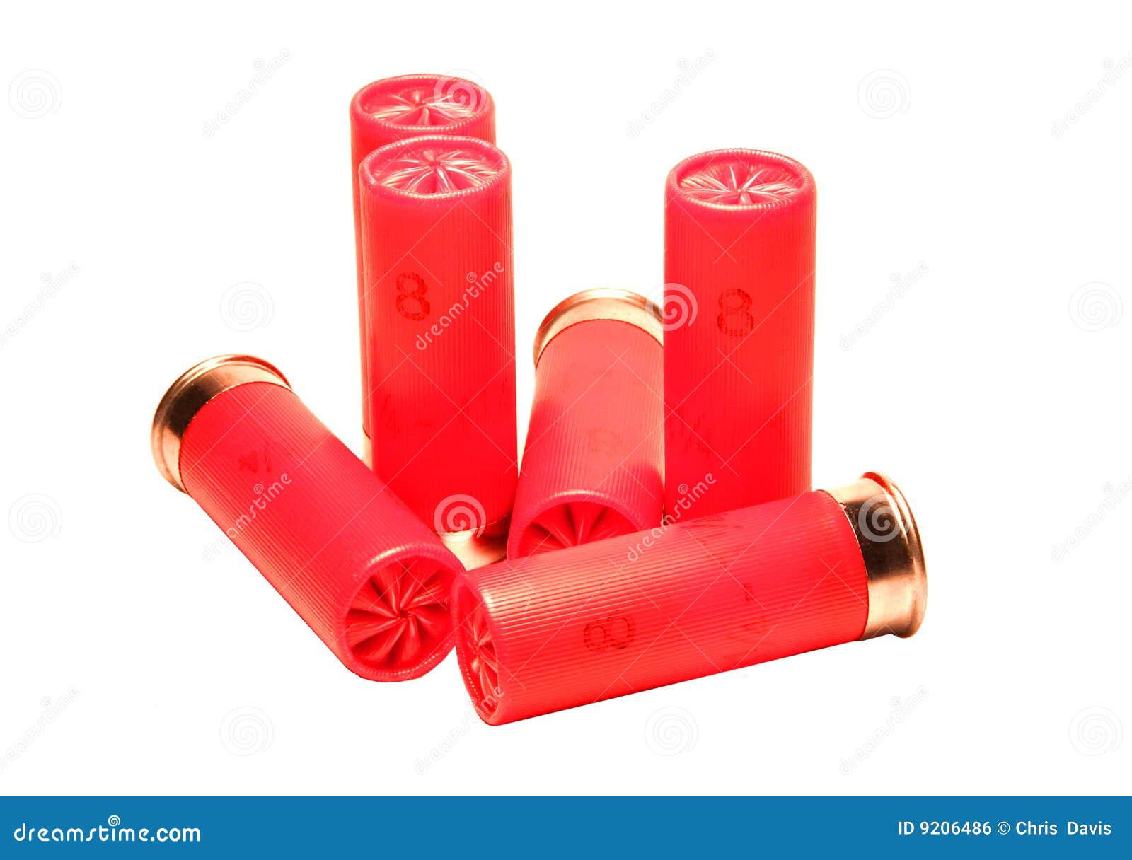 Shotgun shells stock photo. Image of projectile, isolated - 9206486