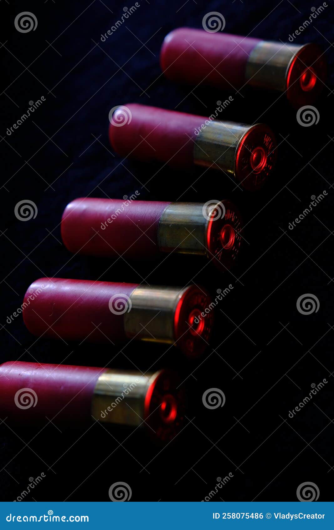 Shotgun Shells on a Black Surface. Ammunition for 12 Gauge Smoothbore ...