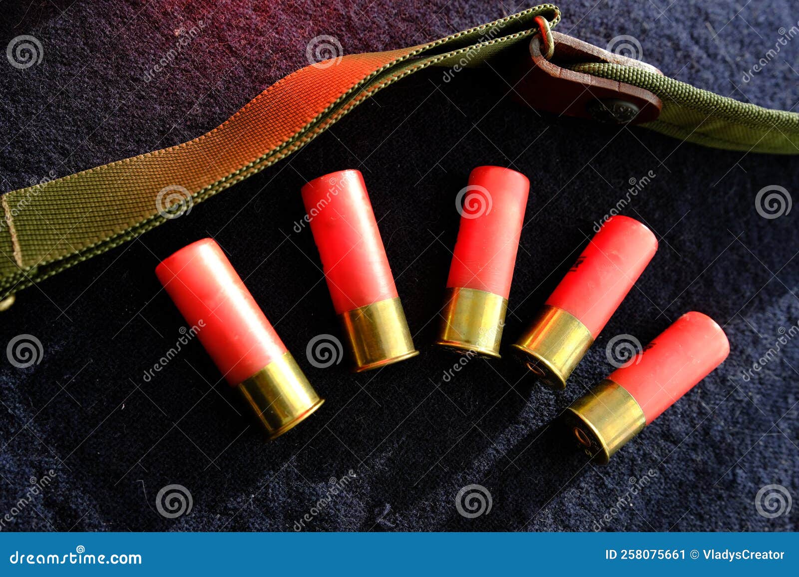 Shotgun Shells on a Black Surface. Ammunition for 12 Gauge Smoothbore ...