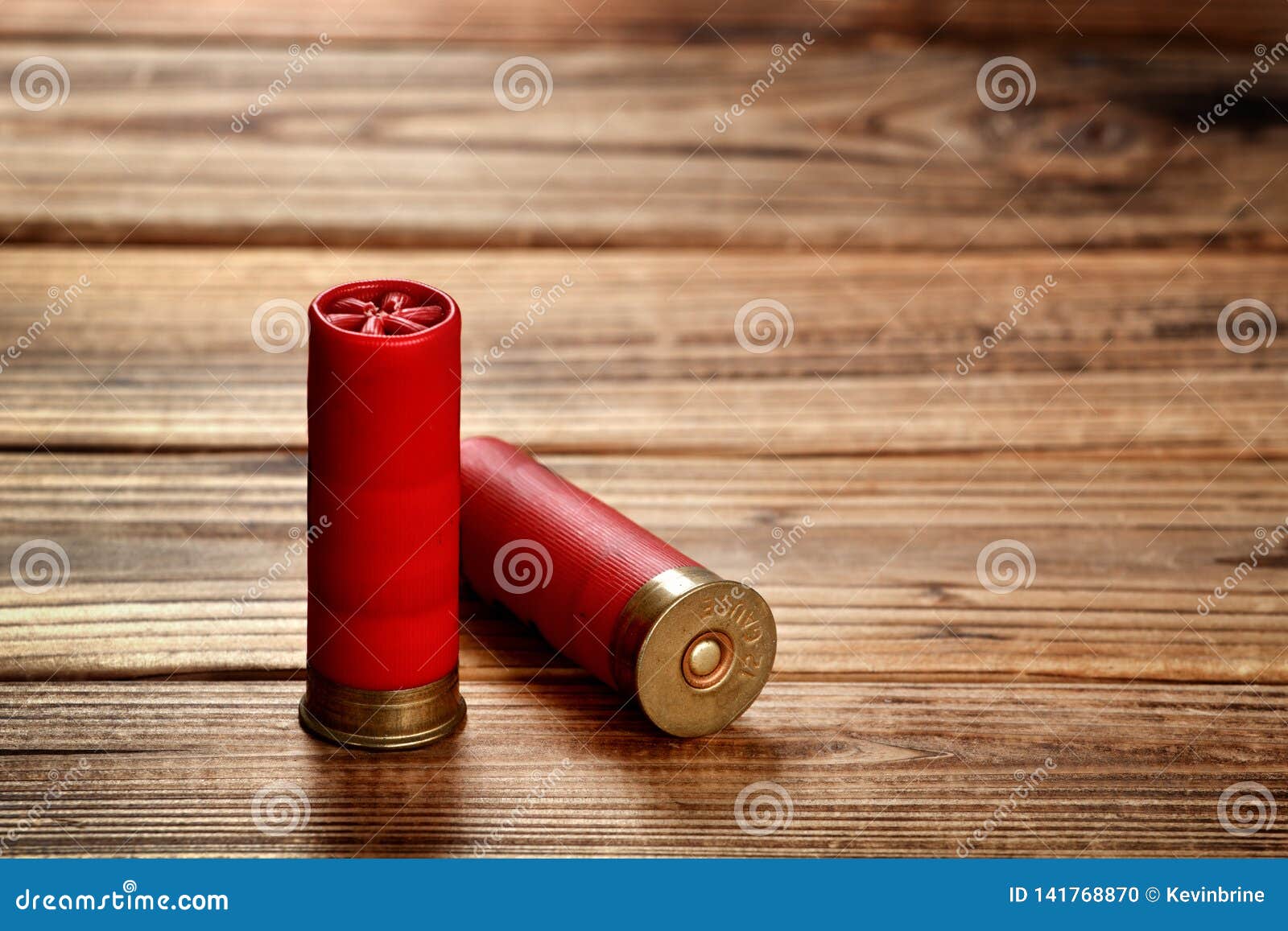 Shotgun Shells stock photo. Image of firearm, death - 141768870