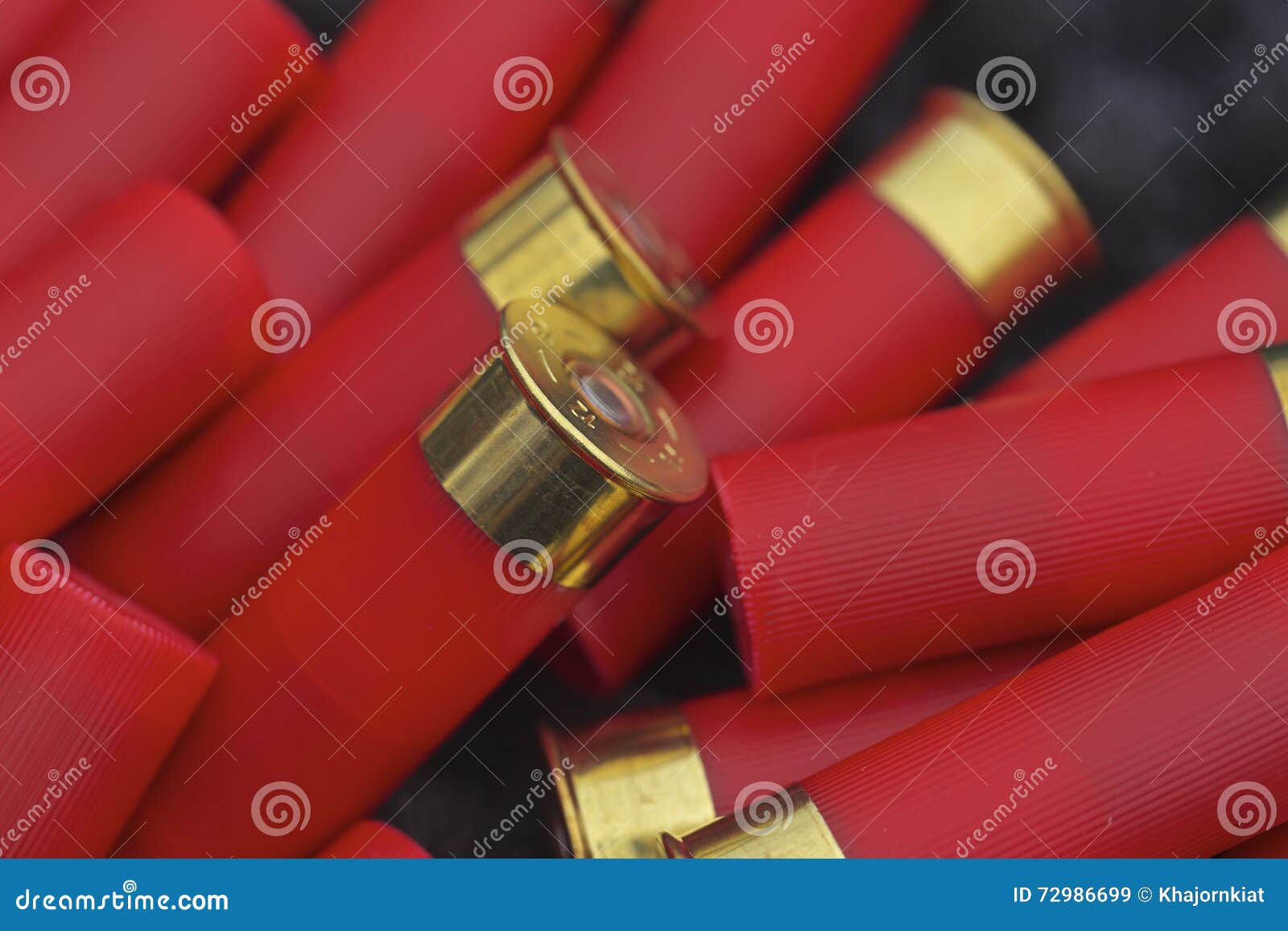 Shotgun shells stock image. Image of shotgun, ammo, shoot - 72986699