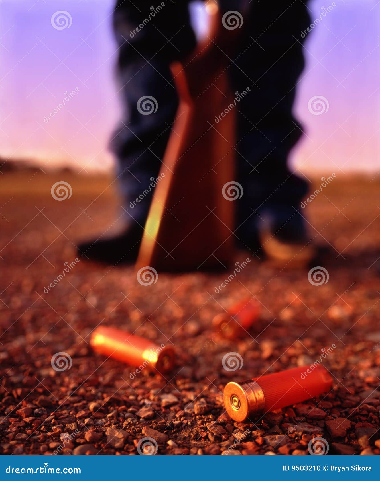 Shotgun shells and gun stock photo. Image of gunslinger - 9503210