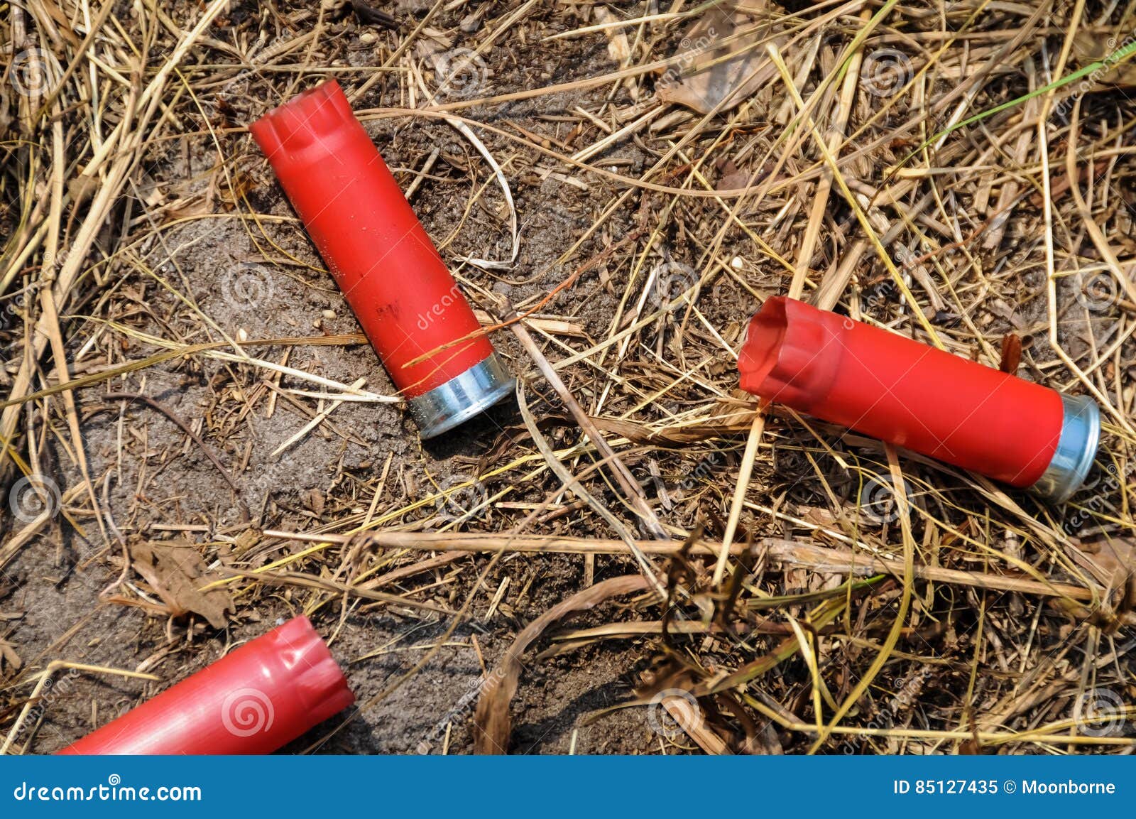 Shotgun Shells stock image. Image of leaf, police, empty - 85127435