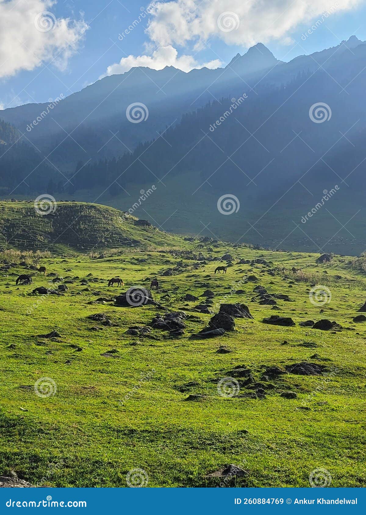 Tarsar Marsar Trek stock image. Image of peak, hiking - 260884769