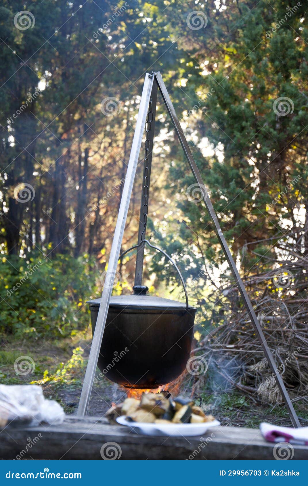 Kettle Over Campfire (cauldron) Stock Image - Image of bonfire, green ...