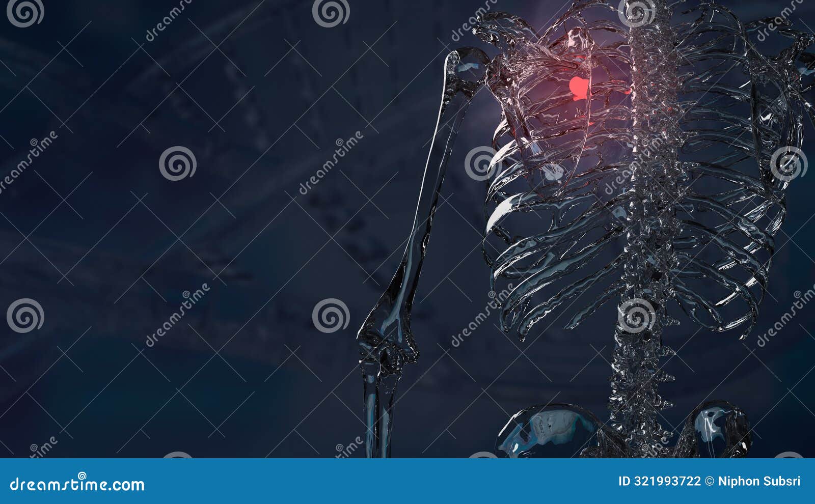 Posterior Or Back View Of Human Male Pelvis, Sacrum, Lumbar Spine And ...