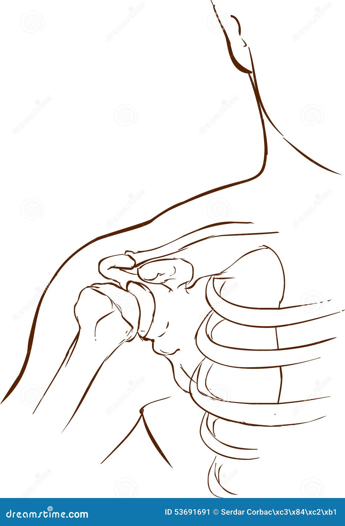 Shoulder Dislocation Stock Illustration - Image: 53691691