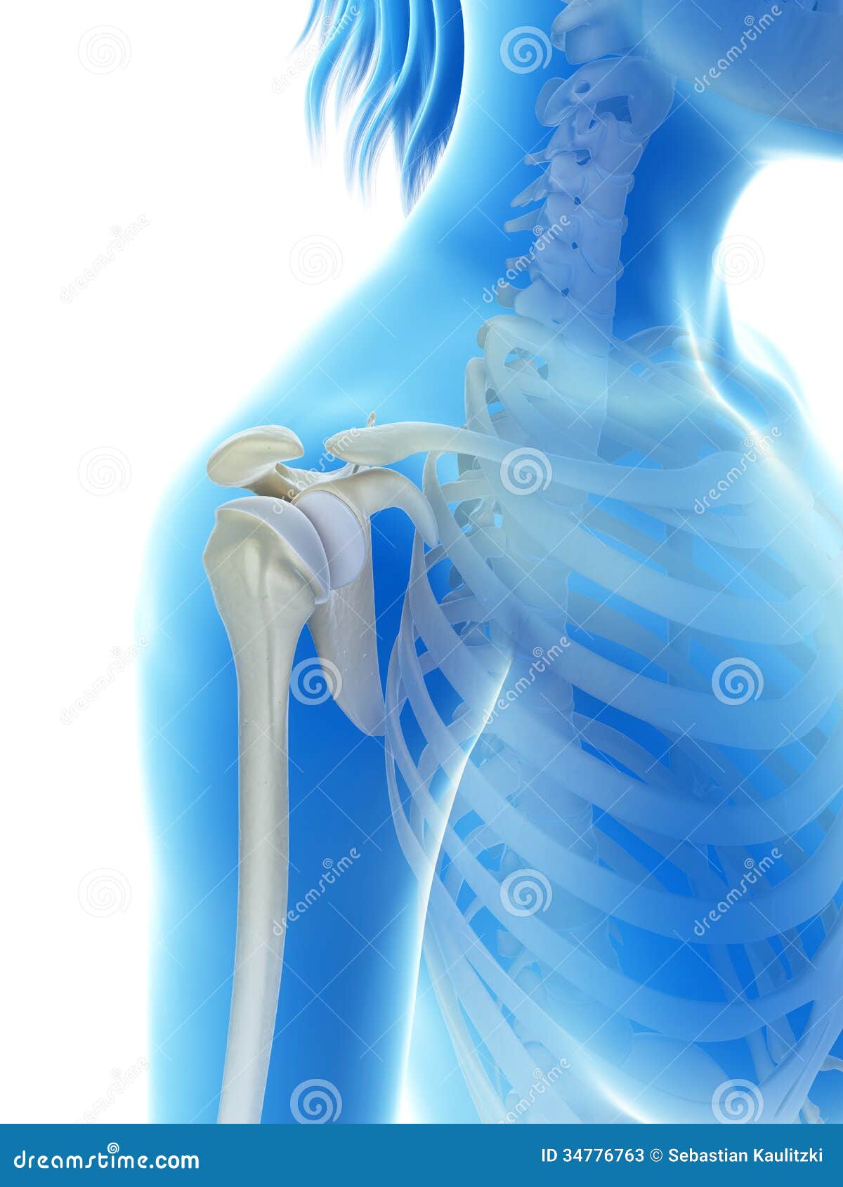 The shoulder joint stock illustration. Illustration of body - 34776763