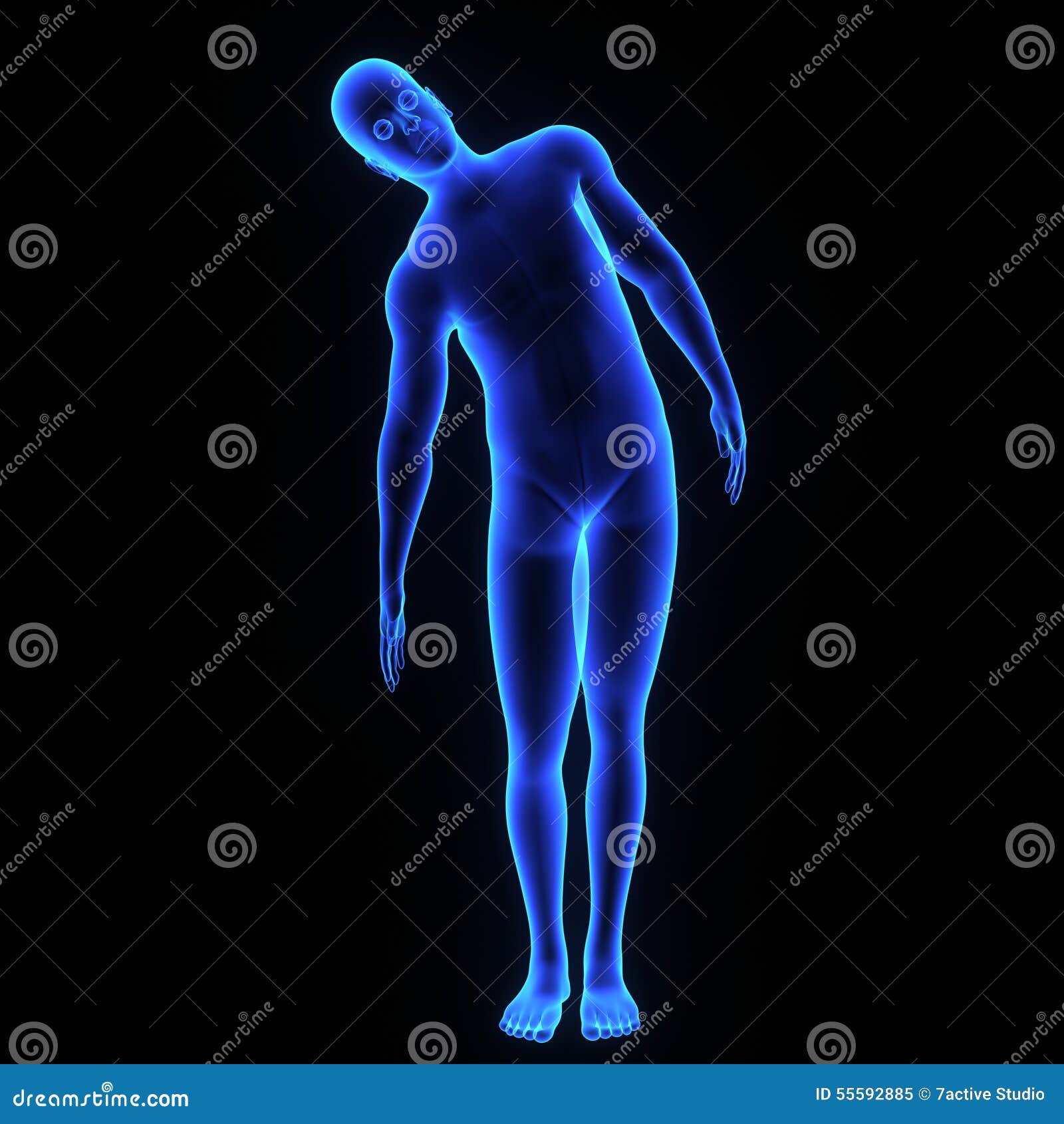 Scapula Or Shoulder Blade Seen From The Anterior Aspect, Vintage ...