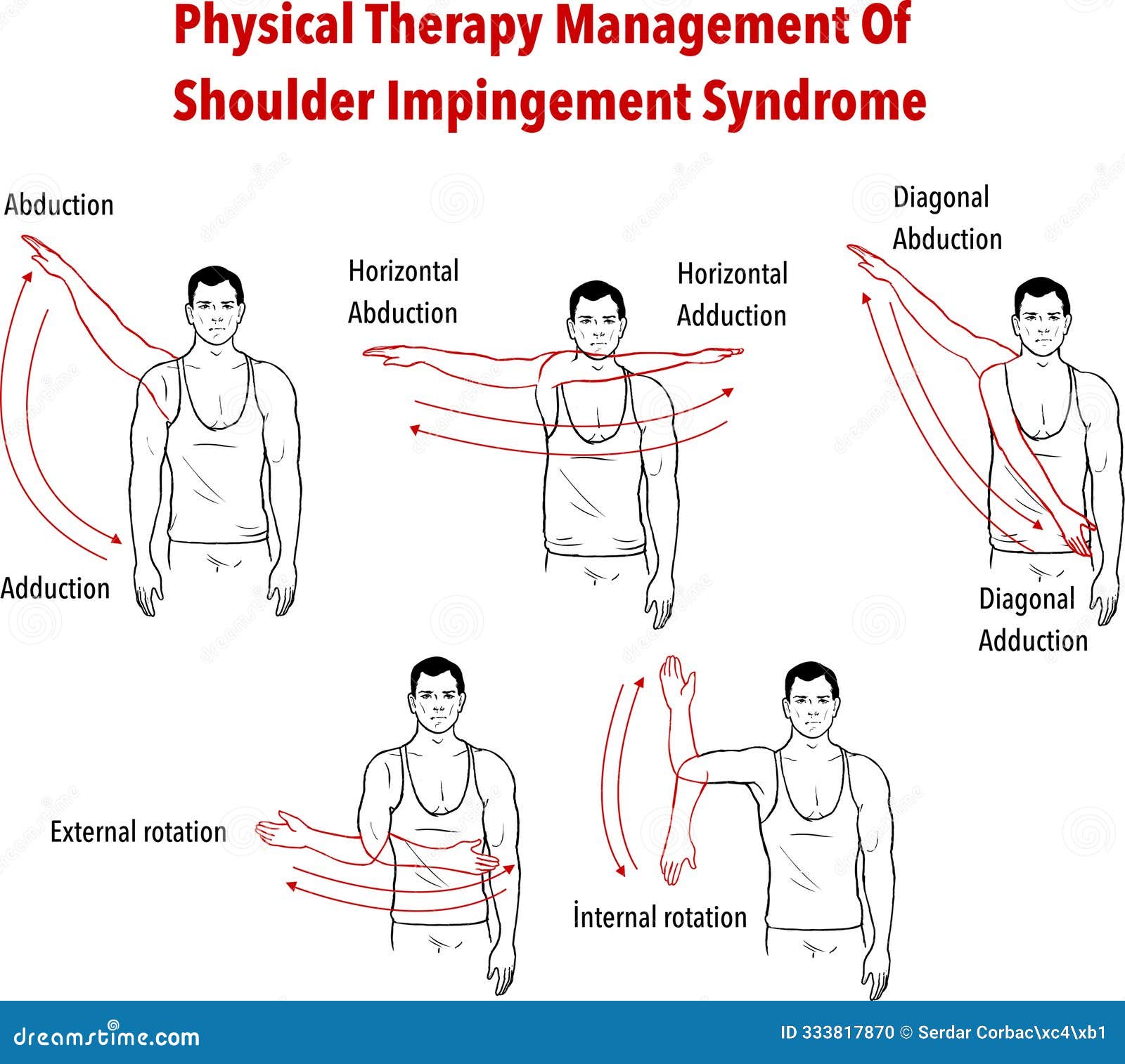 Shoulder Joint Movements Vector Illustration Stock Illustration ...