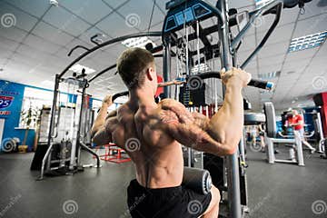 Shoulder Pull Down Machine. Fitness Man Working Out Lat Pulldown ...