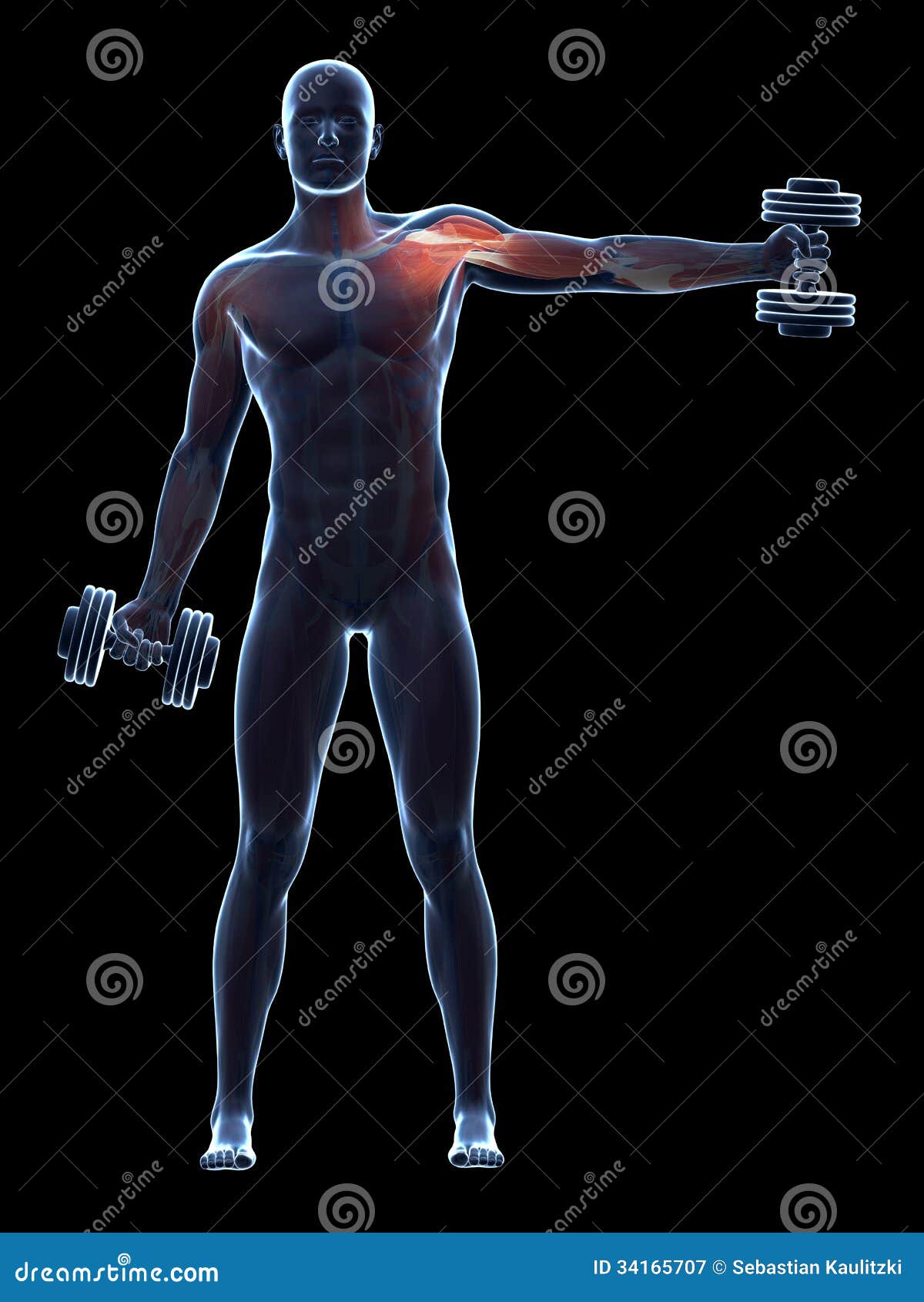Shoulder workout stock illustration. Illustration of barbell - 34165707