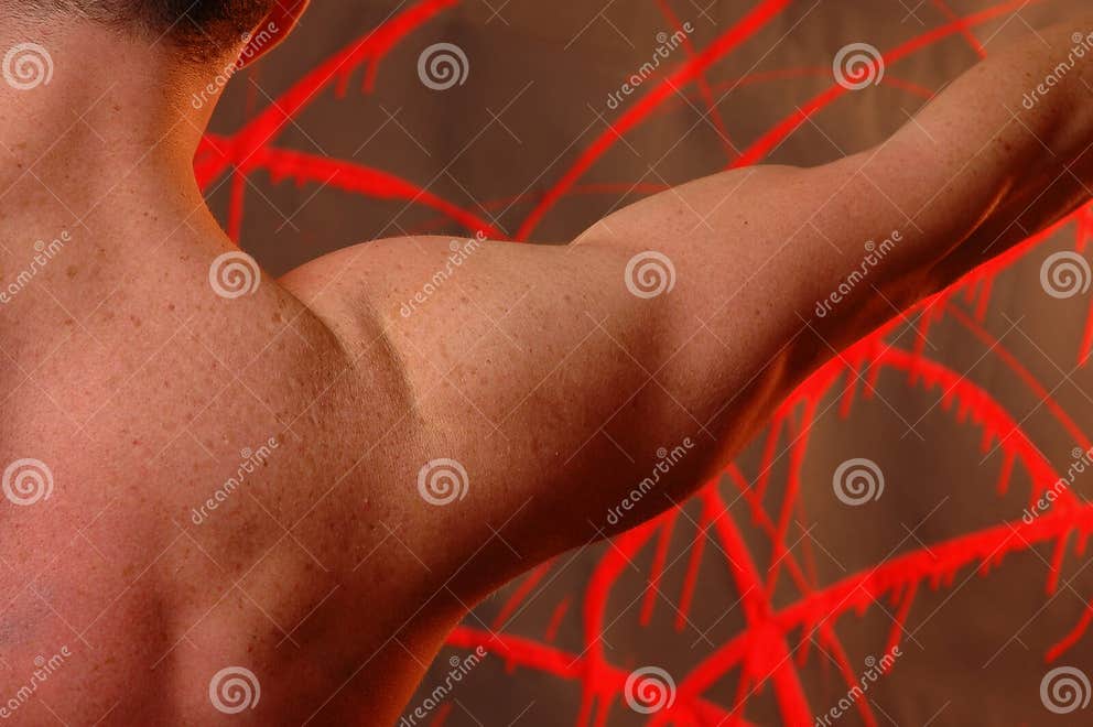 Shoulders stock image. Image of fitness, vascular, back - 485613